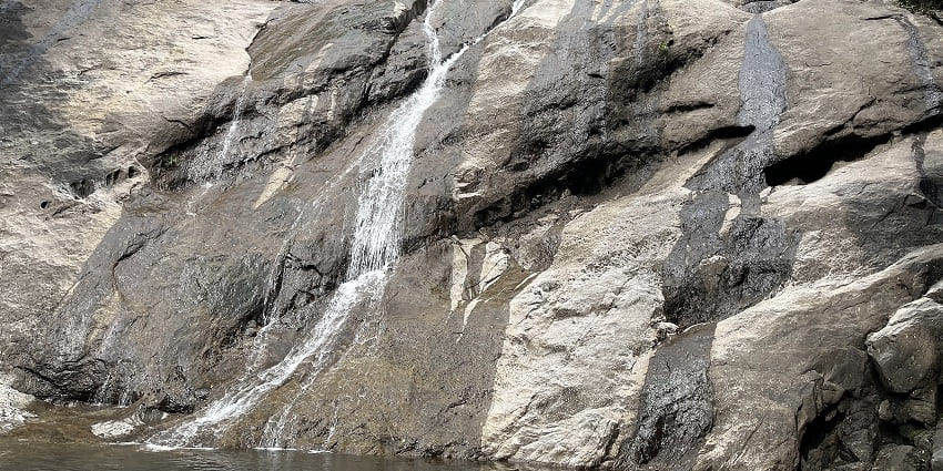 Waterfalls In Trivandrum: A Gate To Natural Charm Of Keral - TripXL