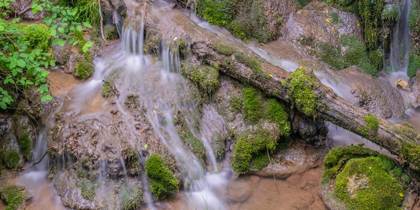 Top 14 Waterfalls In Ernakulam That Will Leave You Speechless - TripXL