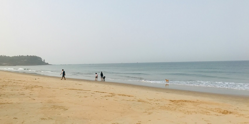 Places To Visit In Vasai For A Memorable Trip In Maharashta - TripXL