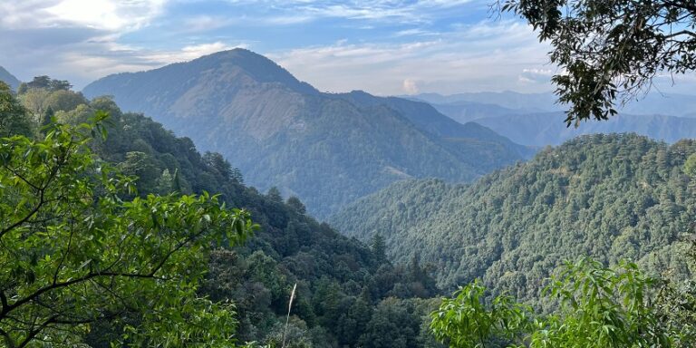 Devalsari Temple: Your Guide To Sacred Temples Of Uttrakhand - TripXL