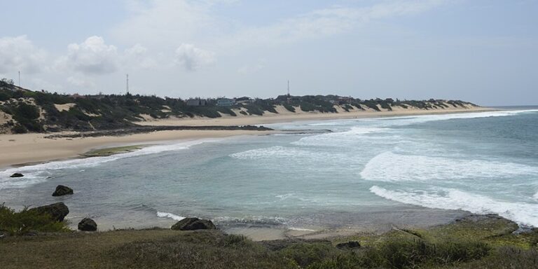 Tofo Travel Guide: Top Things To Do, See & Explore - TripXL