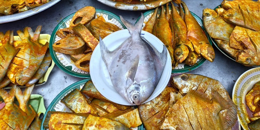 Ebeye Marshall Islands: Guide To A Hidden Gem In The Pacific - TripXL