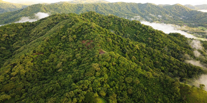 Pohnpei: A Complete Travel Guide to Micronesia’s Green Island - TripXL