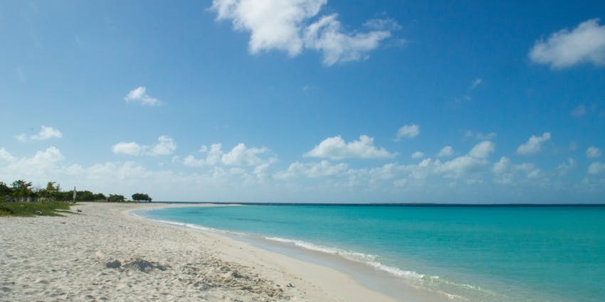 Top 9 Beaches In Venezuela: Hidden Gems & Caribbean Vibes - TripXL