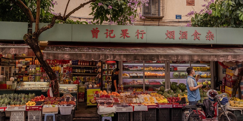 10 Best Things To Do In Basseterre St Kitts For Everyone - TripXL