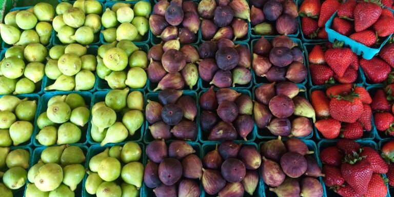 10 Things To Do In Tillamook: An Ultimate Traveller’s Guide - TripXL