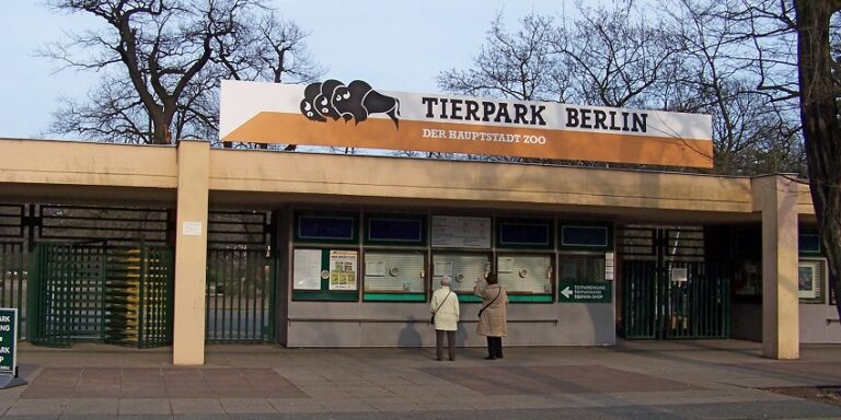 10 Zoos In Germany: Experience Wildlife Like Never Before - TripXL