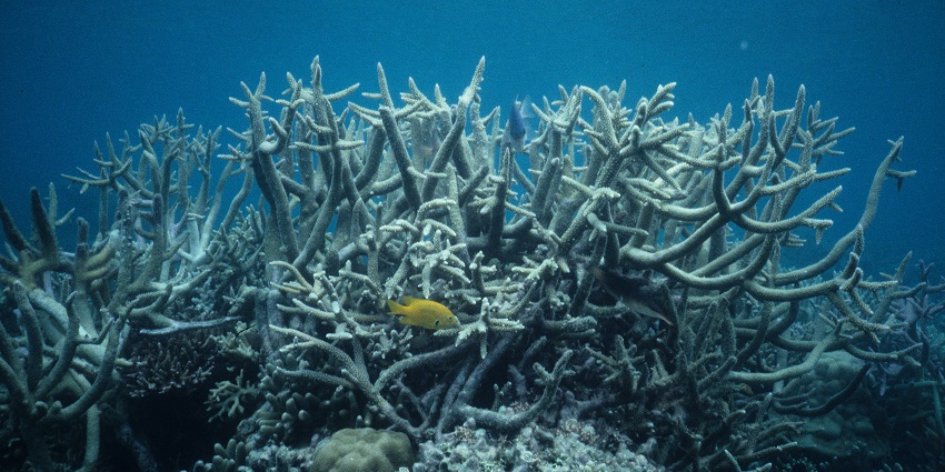 Islands In Micronesia: Dreamy Places You’ve Never Heard Of - TripXL